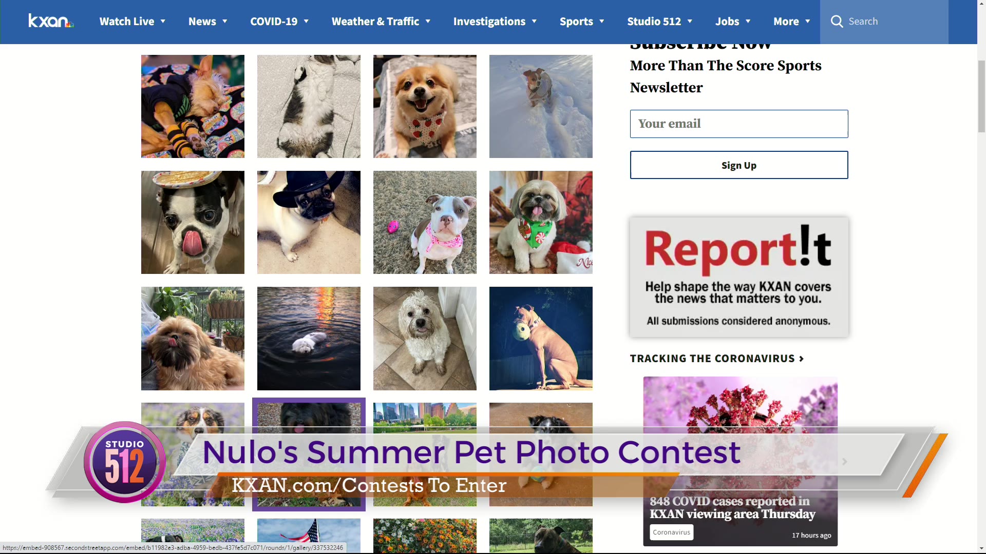 Enter Nulo’s Summer Pet Photo Contest By June 20th – KXAN Austin