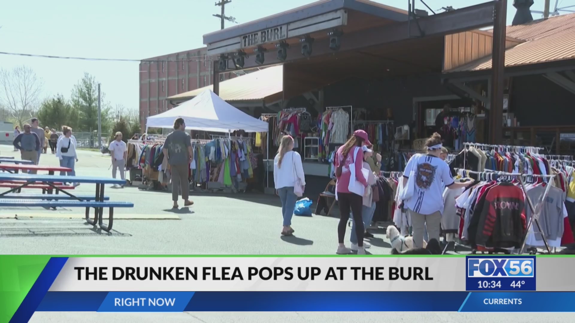 The Drunken Flea pops up at the Burl in Lexington – FOX 56 News