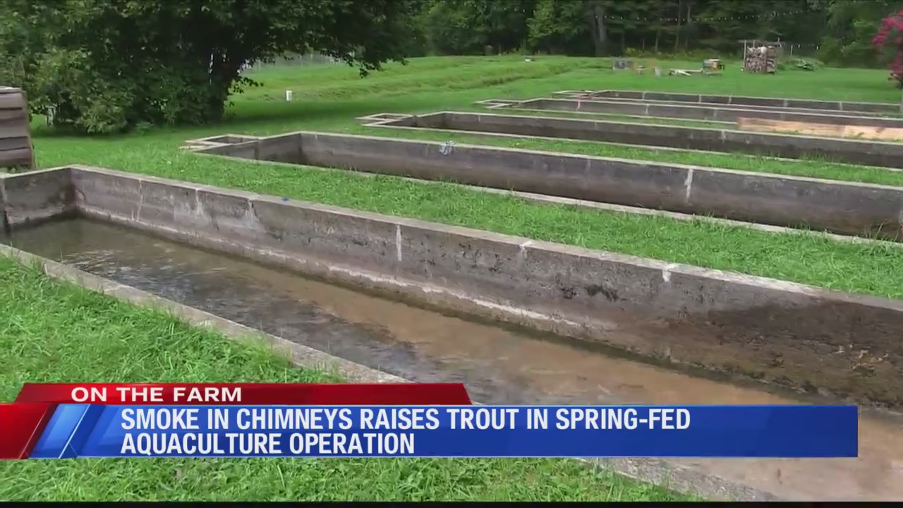 Farm to table movement spells success for Craig County’s Smoke in ...