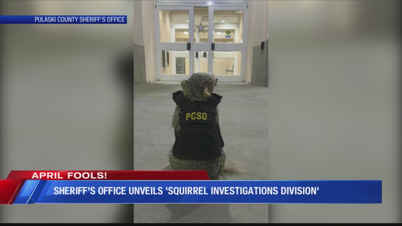 April Fool’s Day: Pulaski County Sheriff’s Office hires new deputy for ...