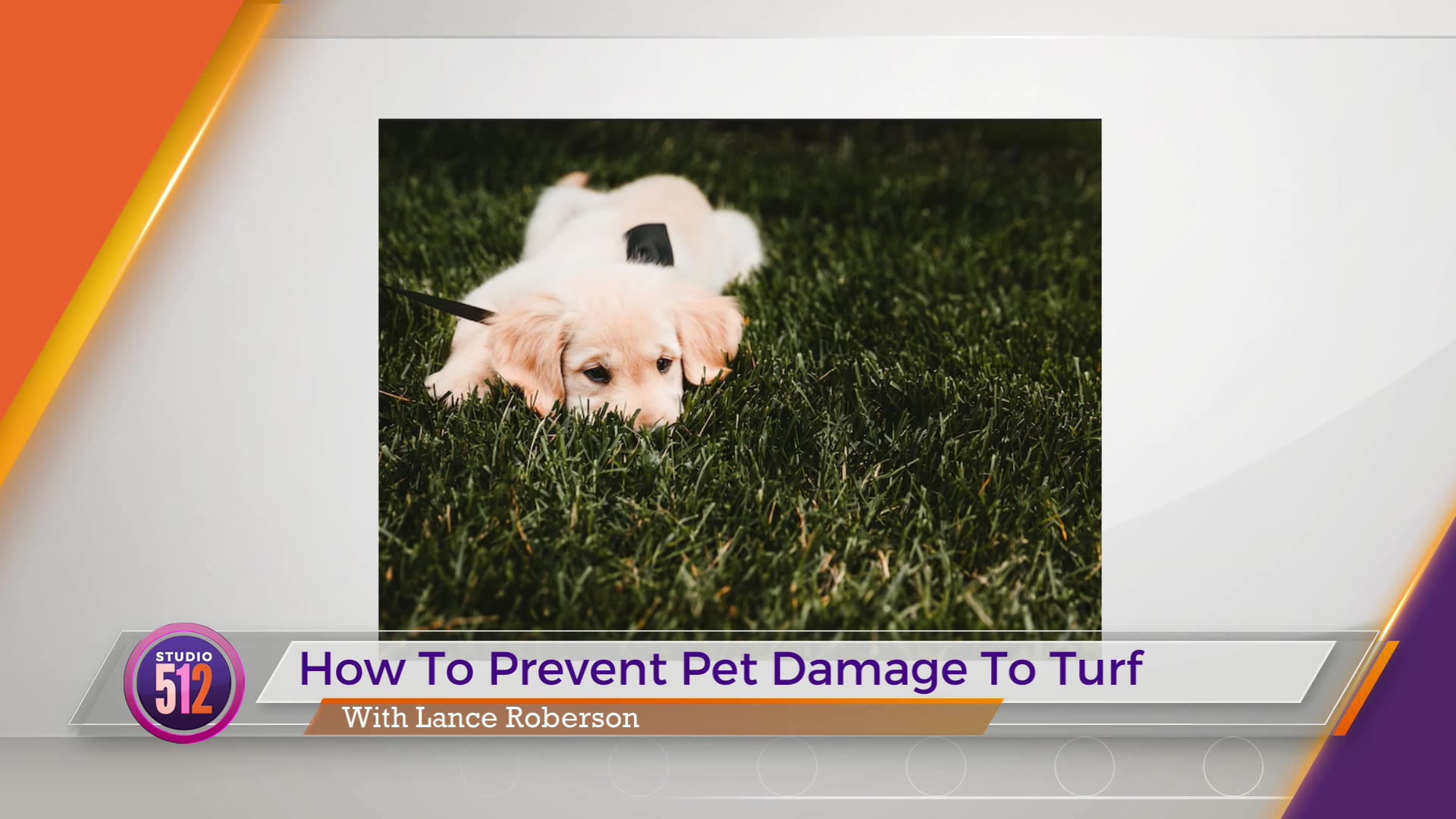 How To Prevent Pet Damage To Turf With Lance Roberson – KXAN Austin