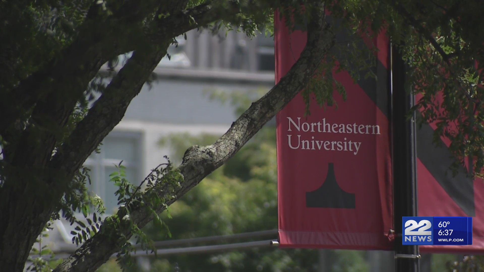 Northeastern University sends more erroneous acceptance letters – WWLP