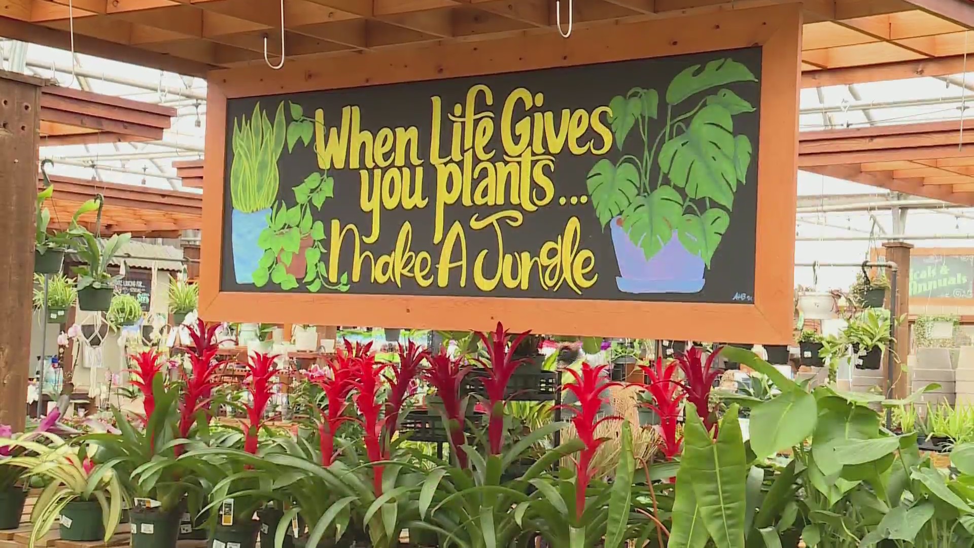 Greenscape Gardens shares on prepping for gardens – FOX 2