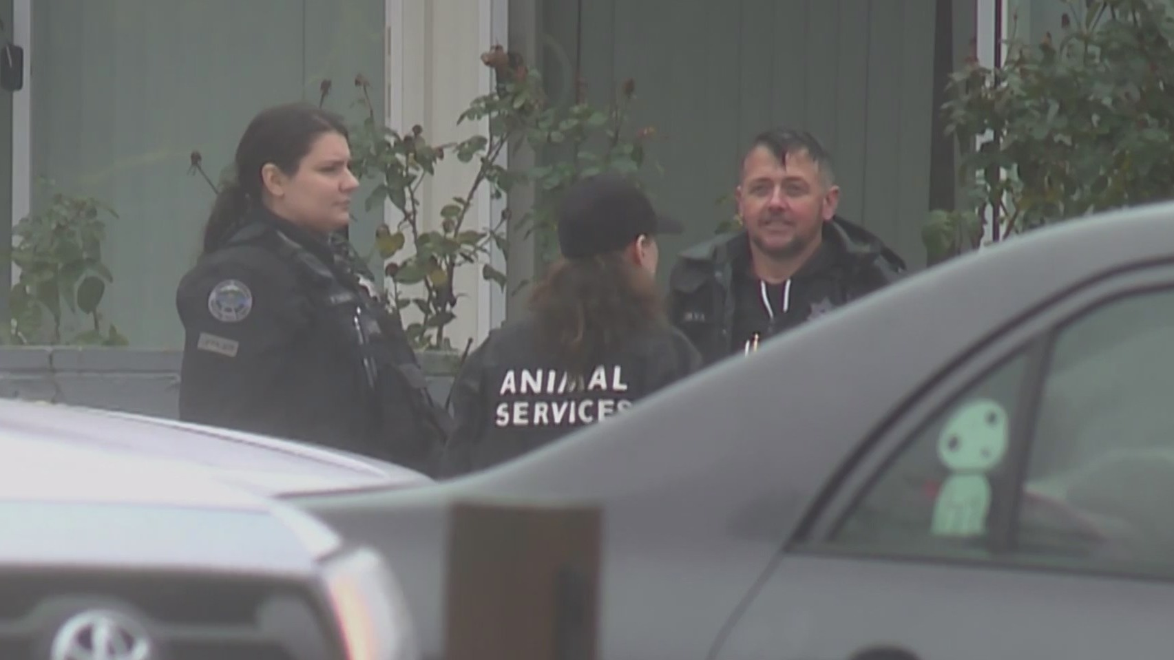 Young boy killed in Portland dog mauling incident – KOIN.com