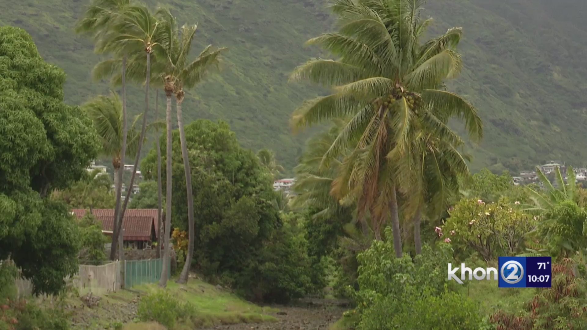 State recommends neighbors near Palolo Valley rockfall ‘vacate’ due to ...