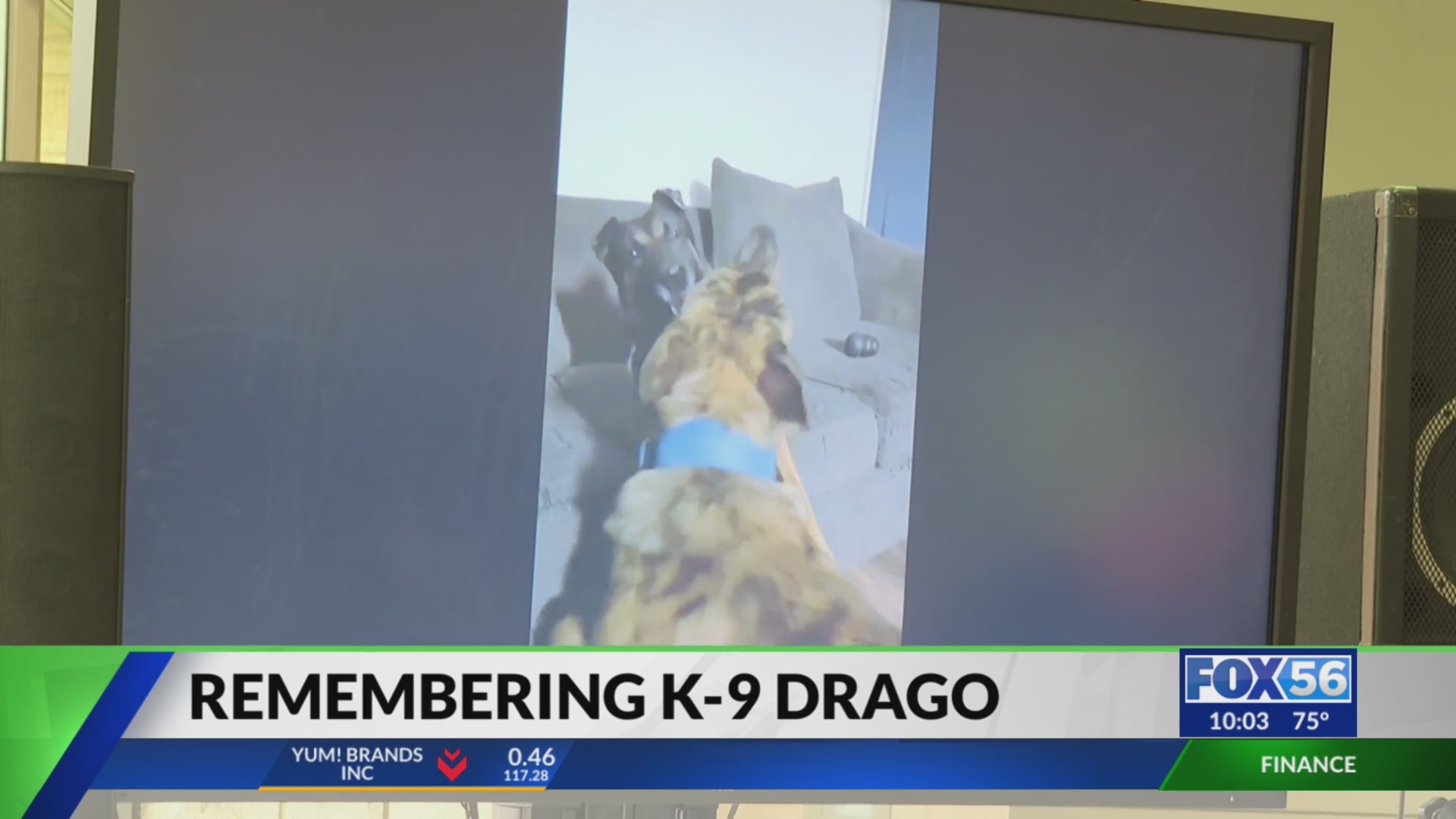 Remembering police K-9 Drago – FOX 56 News