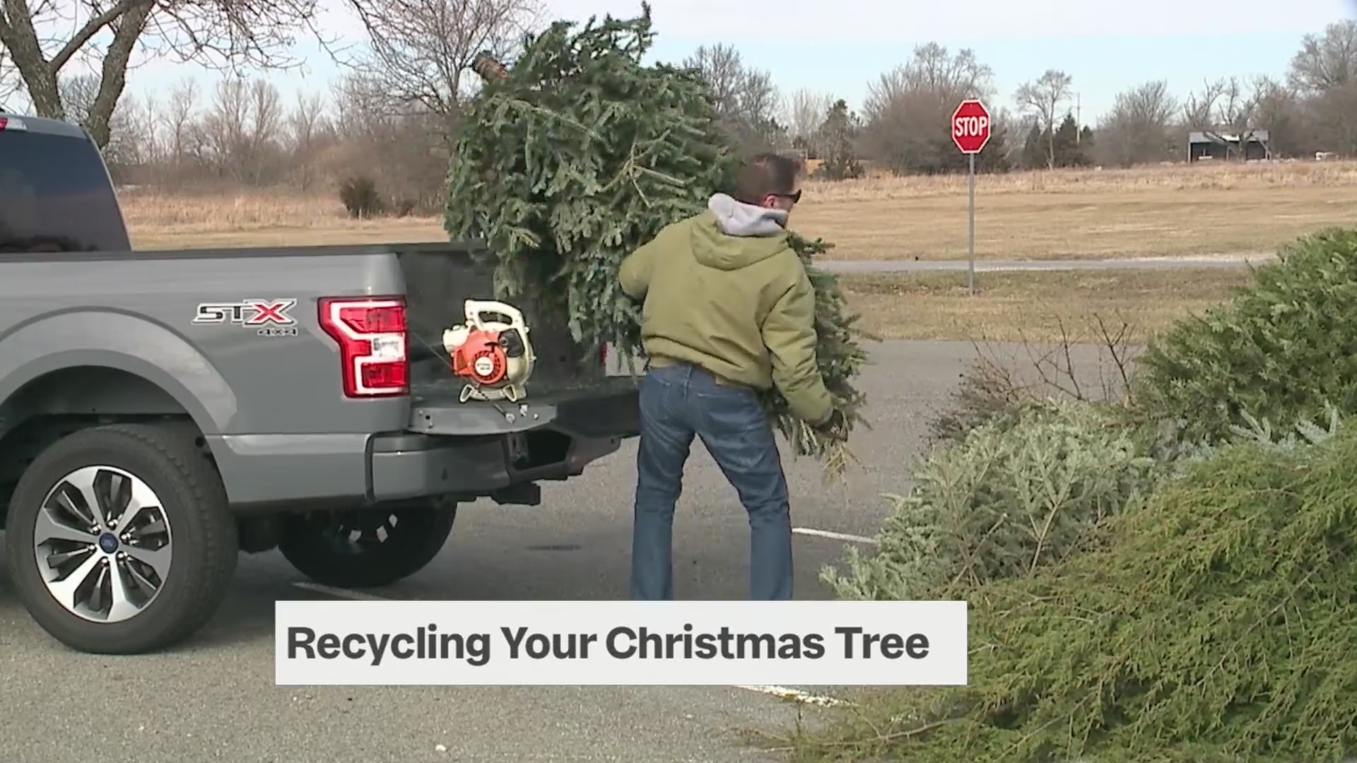 “Treecycle” Christmas trees and greenery – FOX 4 Kansas City WDAF-TV ...