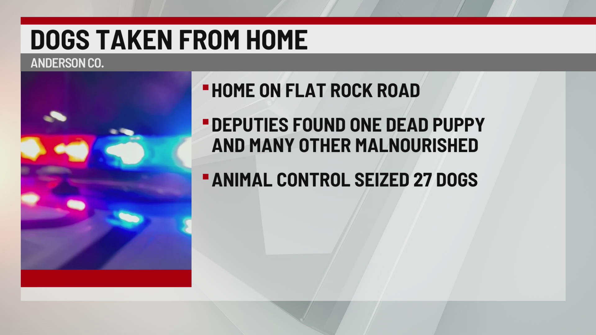 27 dogs seized following search at Anderson Co. home – WSPA 7NEWS