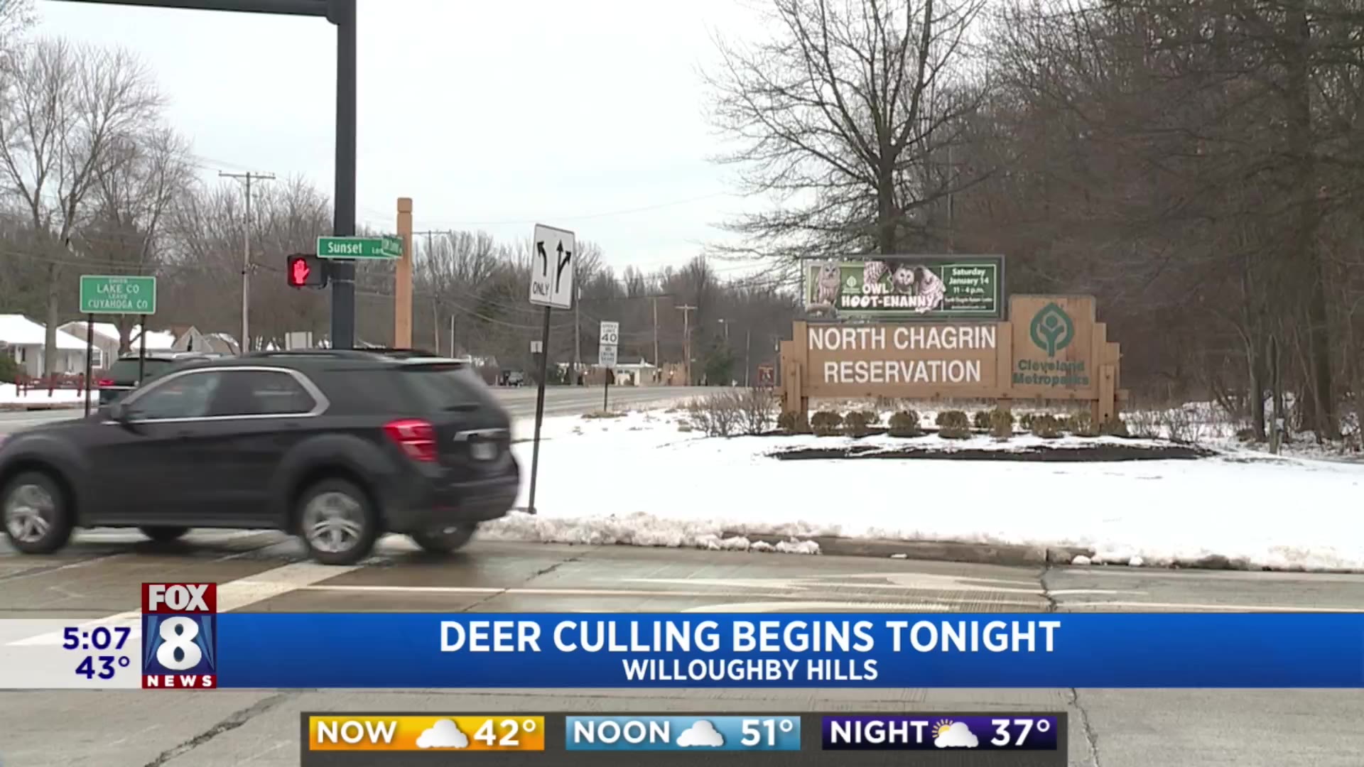 Deer culling to begin in some Northeast Ohio communities – Fox 8 ...