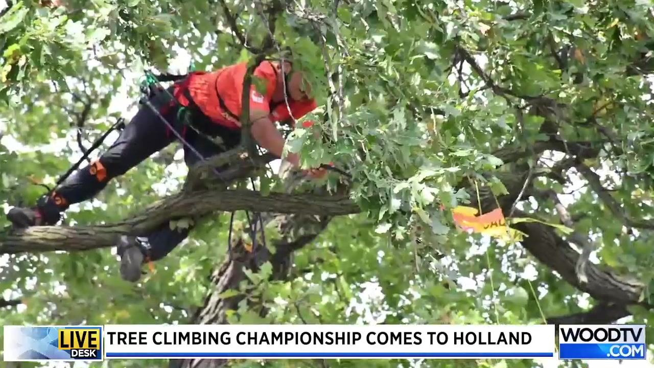 Tree Climbing Championship comes to Holland – WOODTV.com