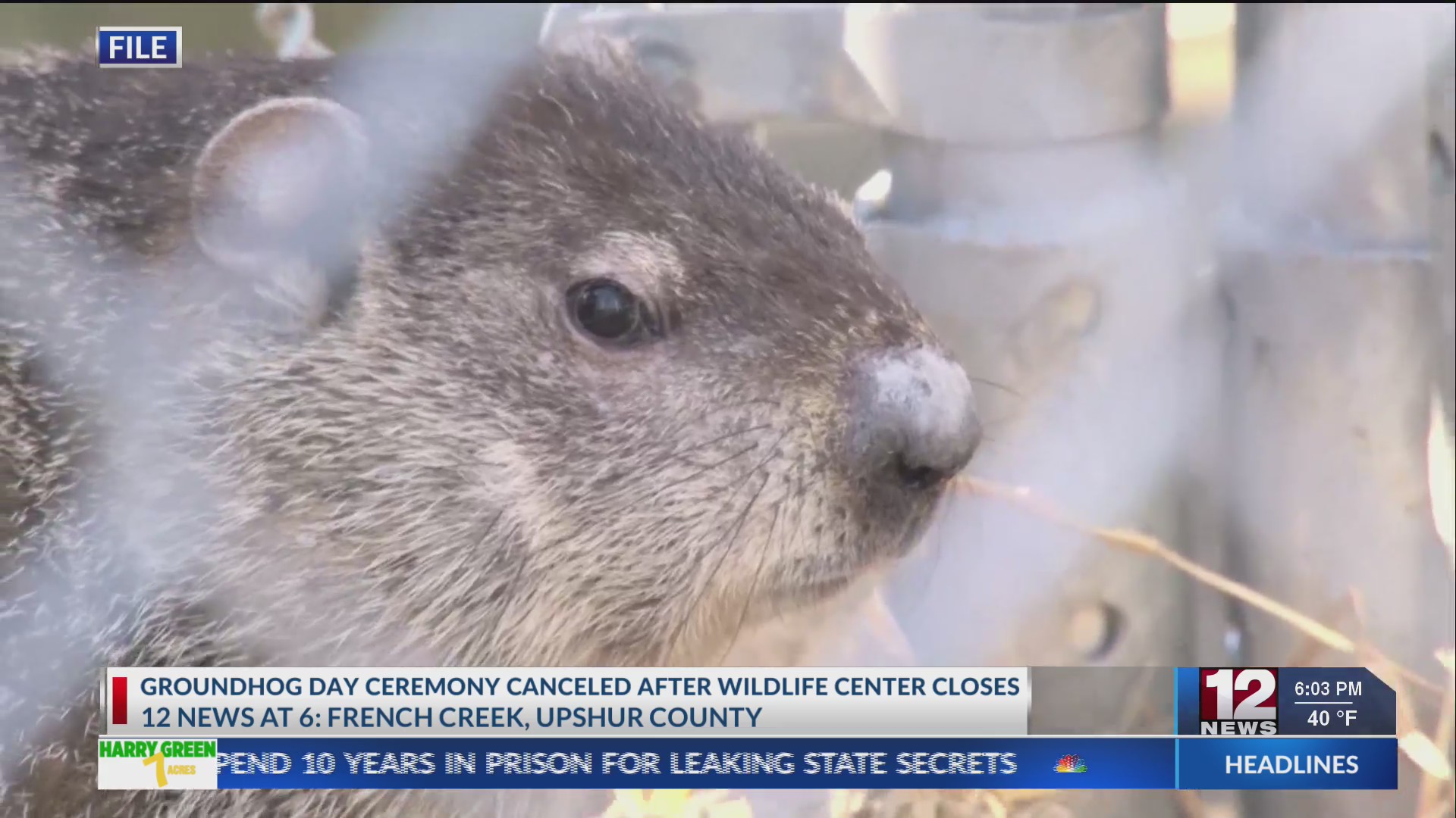 West Virginia’s French Creek Freddie will not get chance to see his ...