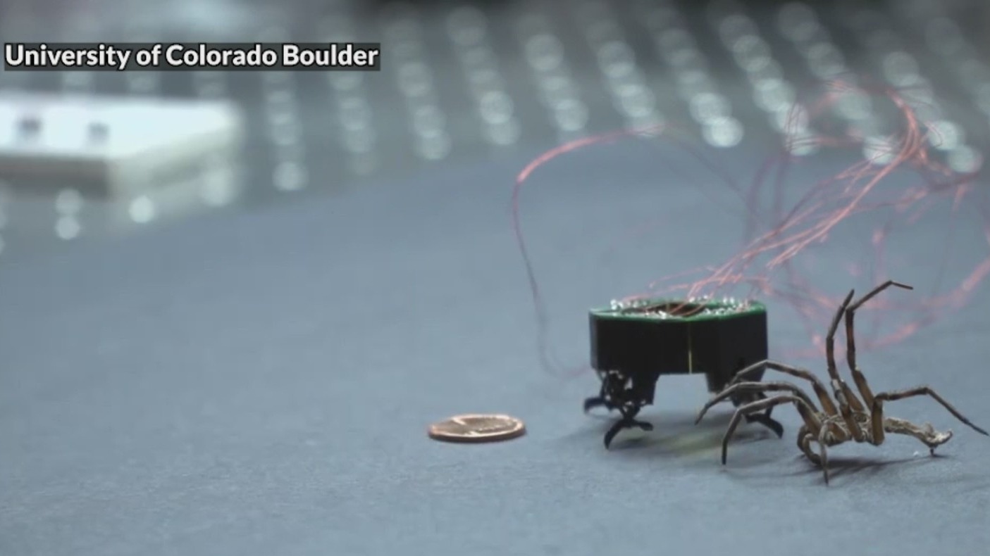 Coming soon: A robot to help first responders – FOX31 Denver