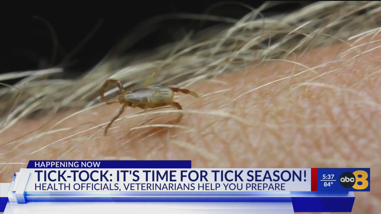 Virginia experts warn of tick-borne diseases as weather warms – WRIC ...