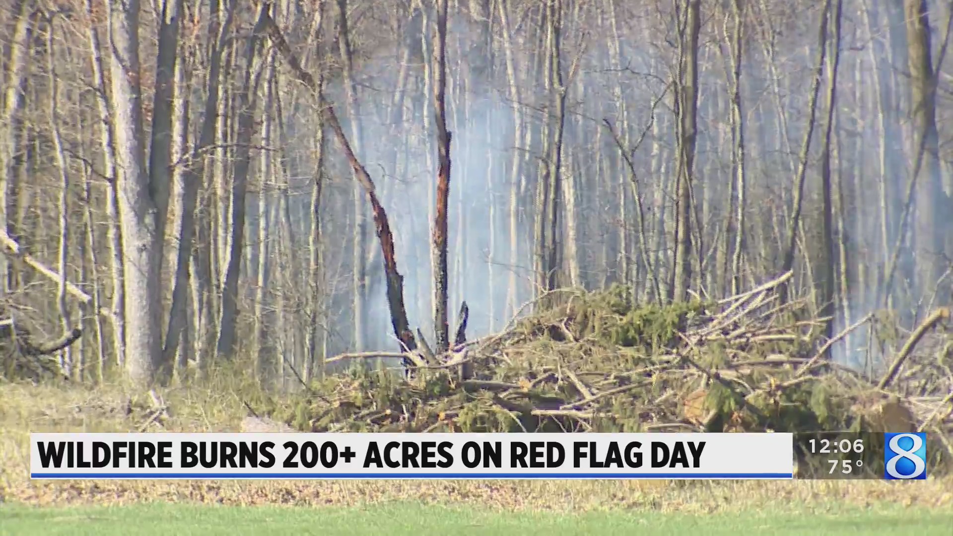 Allegan State Game Area wildfire mostly contained – WOODTV.com