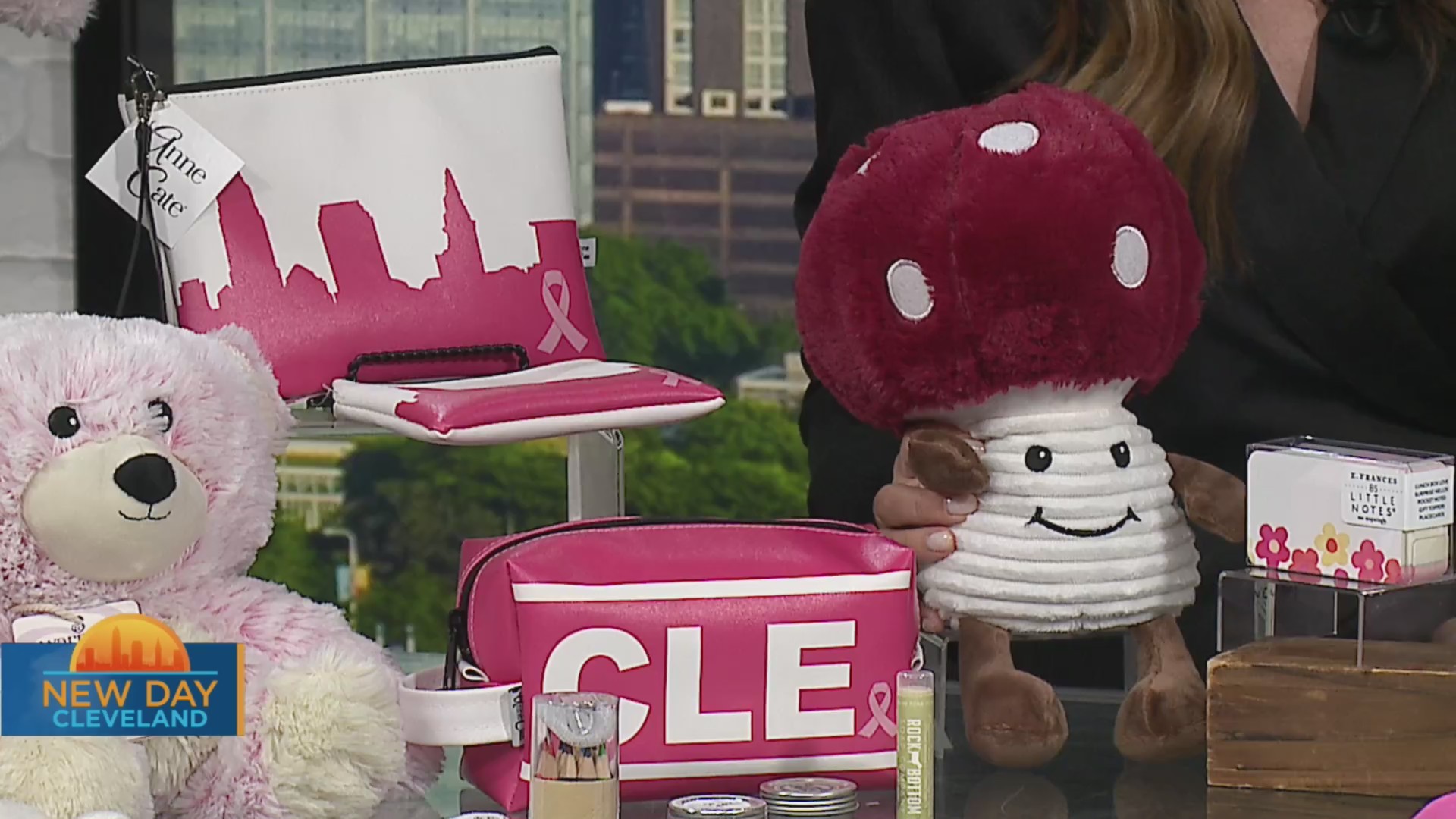 New Day Cleveland: The Helicopter Daughter – Fox 8 Cleveland WJW