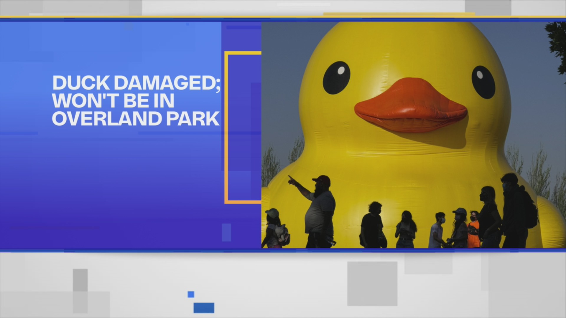 Damage delays world’s largest rubber duck visit to Kansas City metro ...