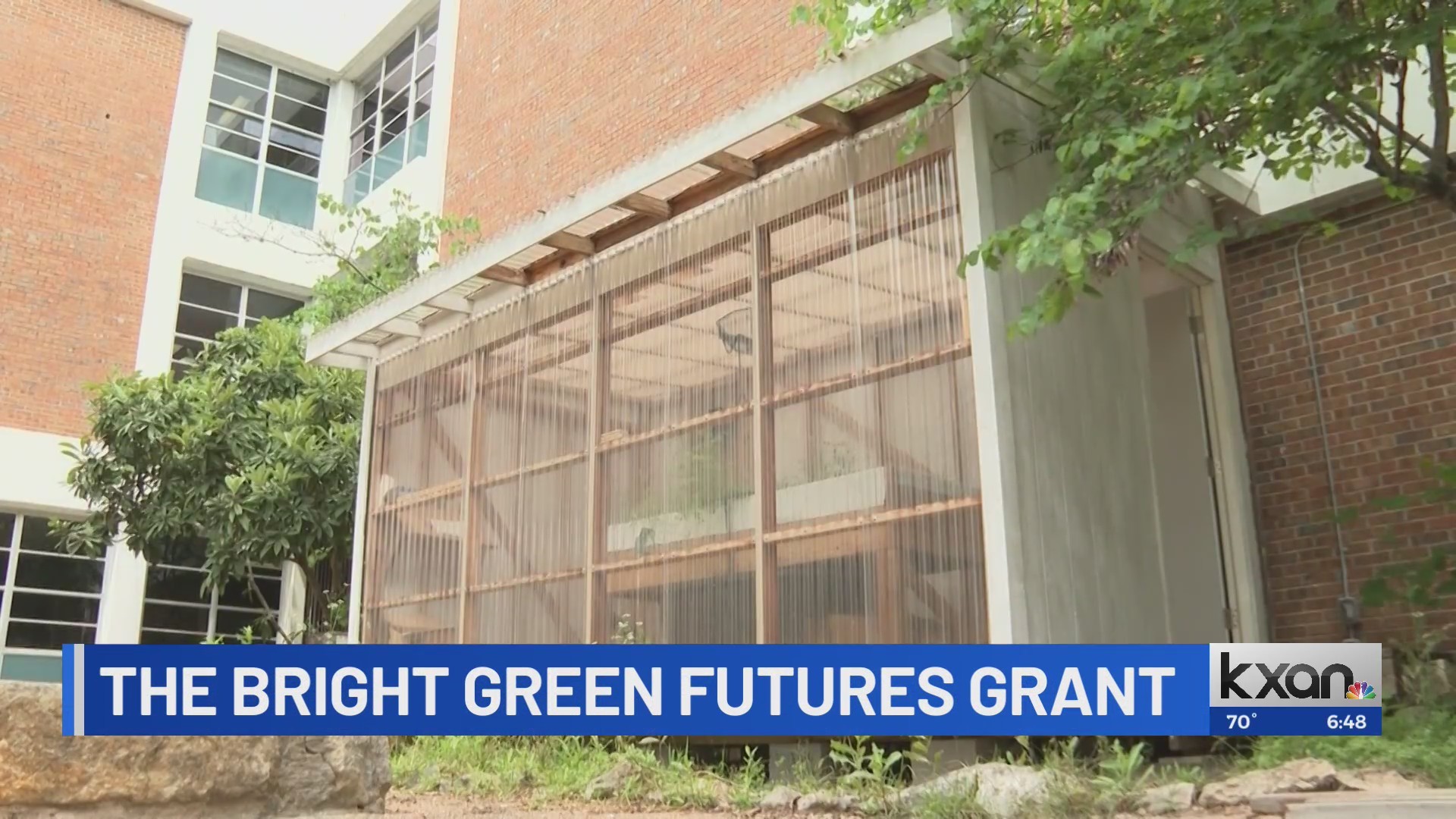 Bright Green Future Q and A with Mary K. Priddy – BorderReport