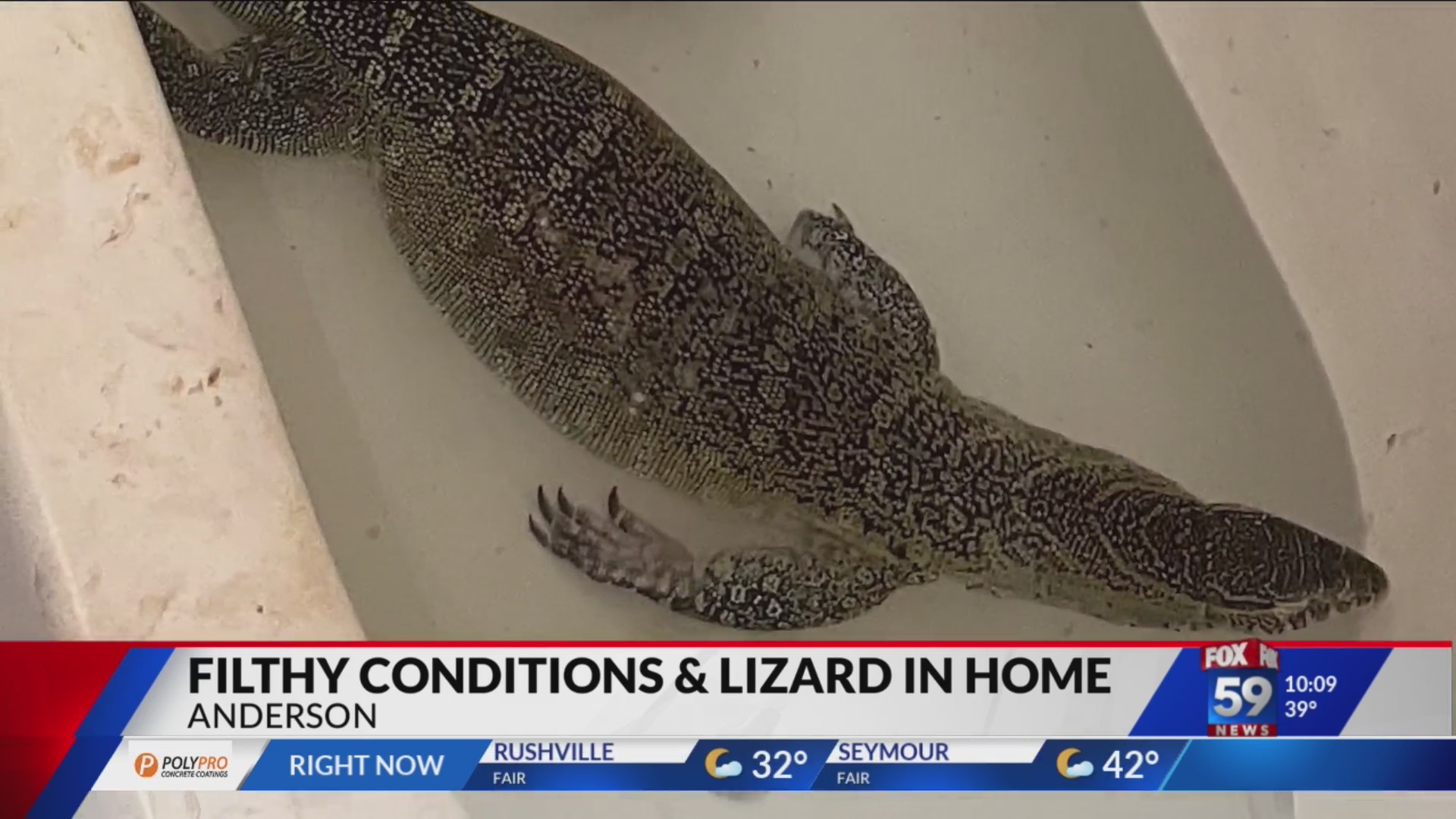 Cops find large lizard in bathtub and children living in filth; parents ...