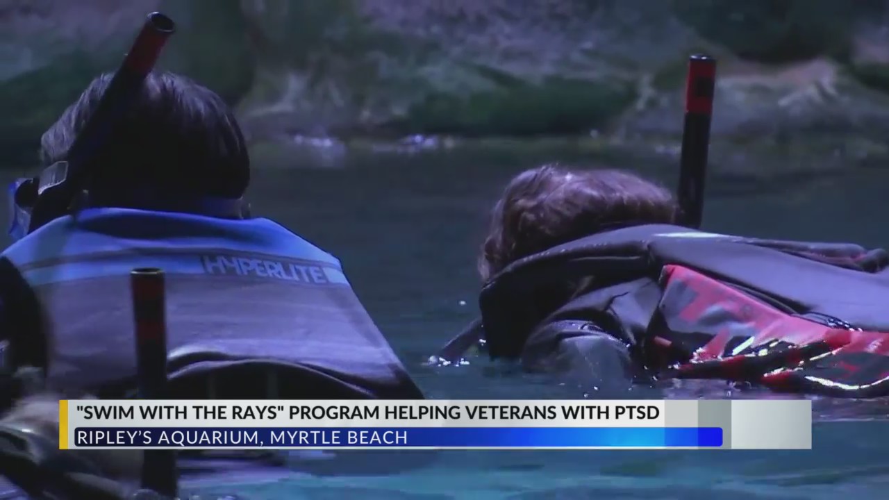 Myrtle Beach veterans swim with stingrays at Ripleys Aquarium – WBTW
