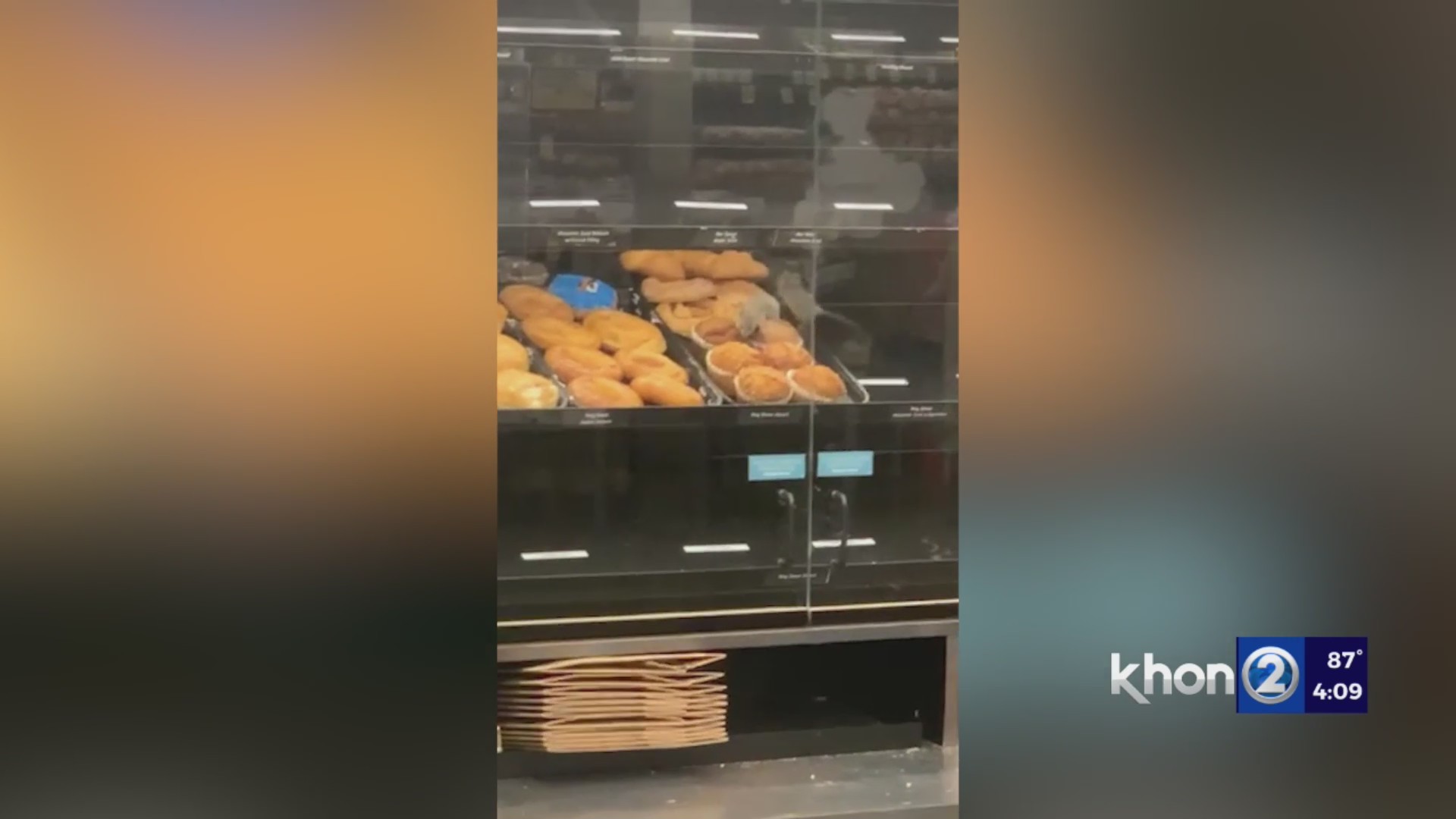 Social media video shows rats in Safeway donut display – KHON2