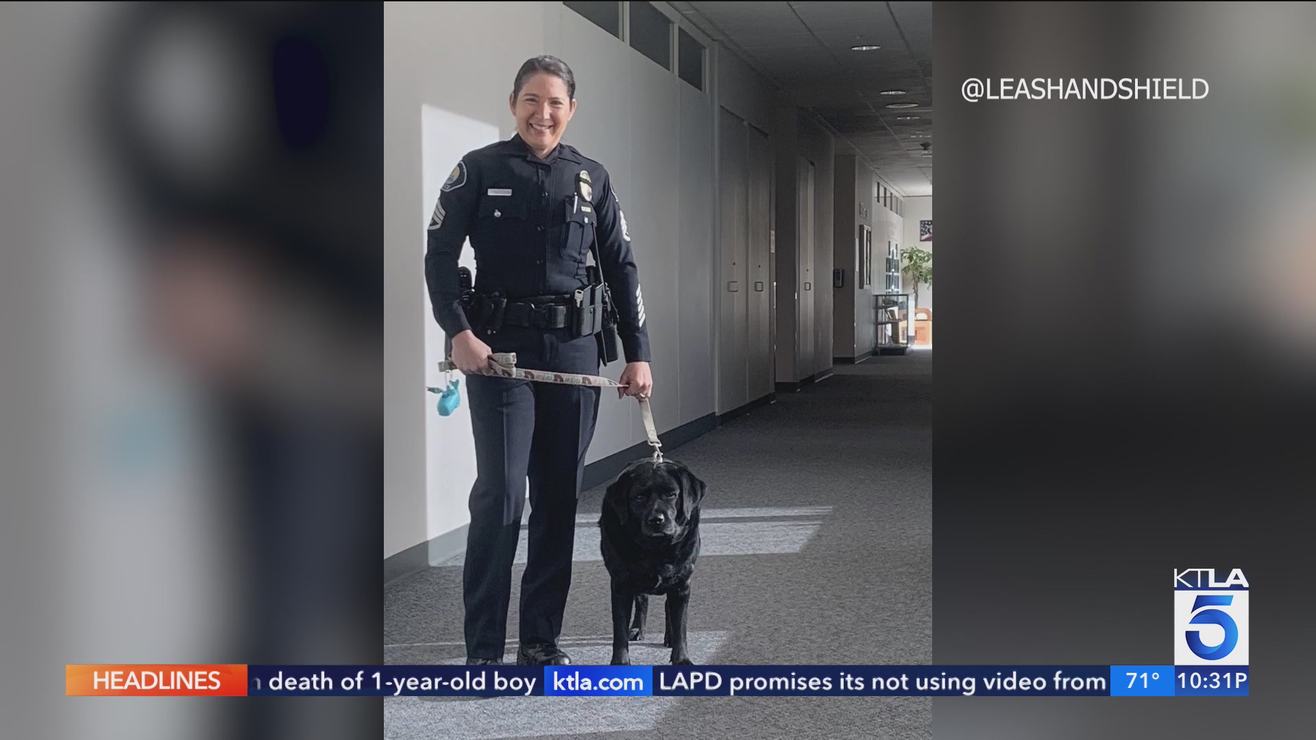 Retired police sergeant launches armed dog walking service – KTLA