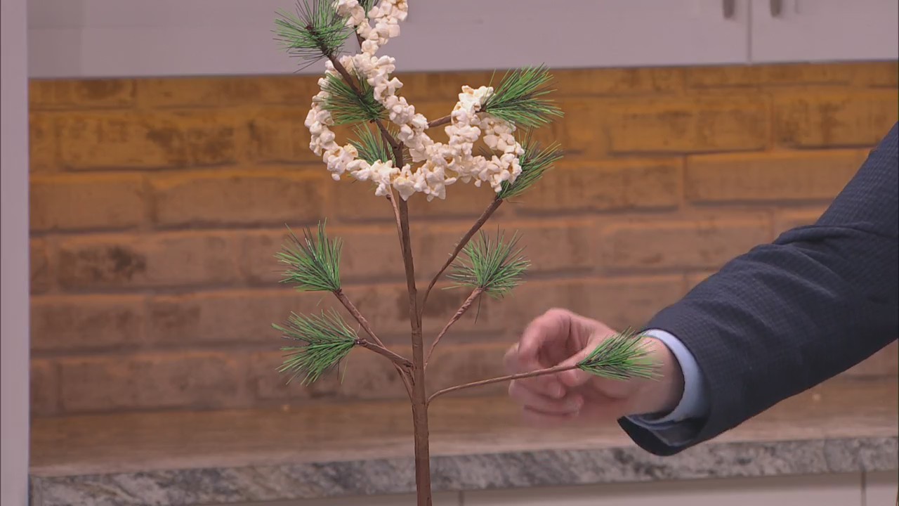 Chris and Rachel are popping with excitement for National Popcorn Day ...