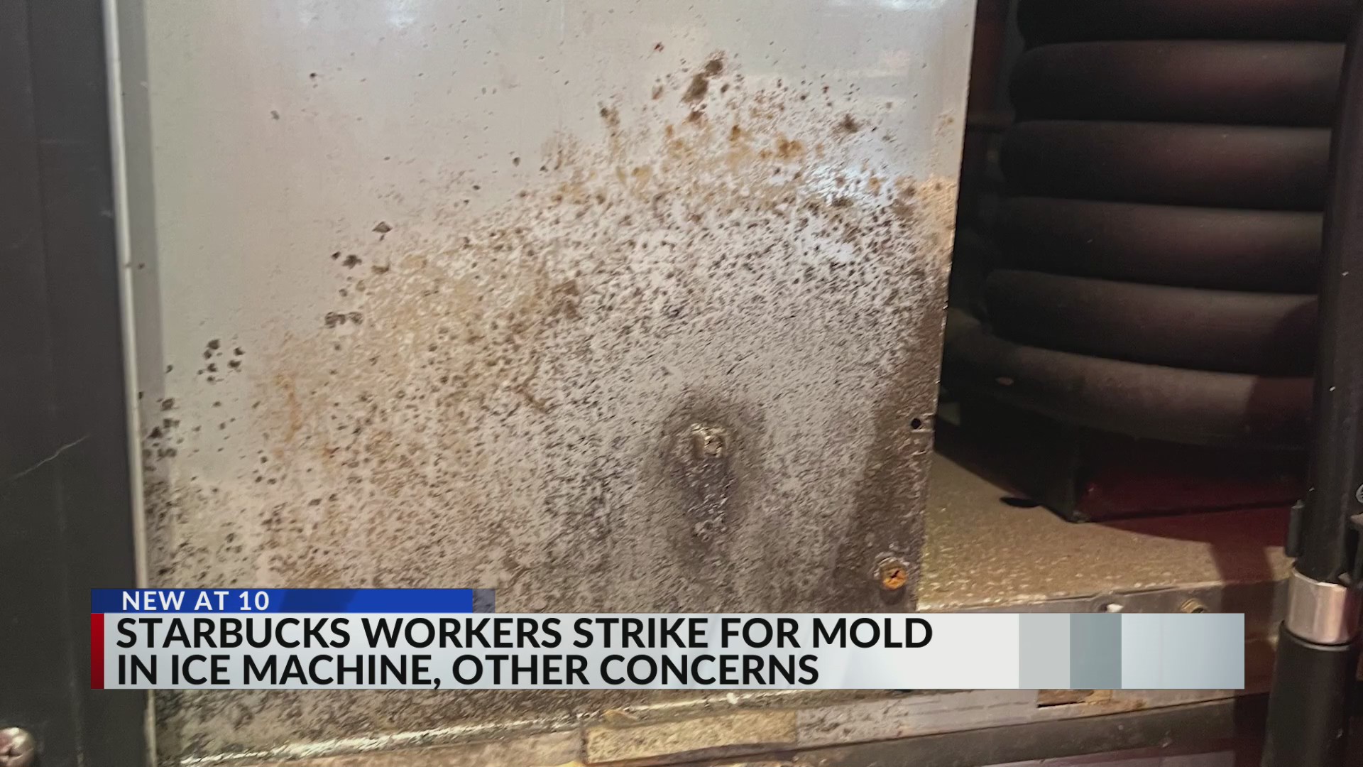 Starbucks employees strike due to mold – WREG.com