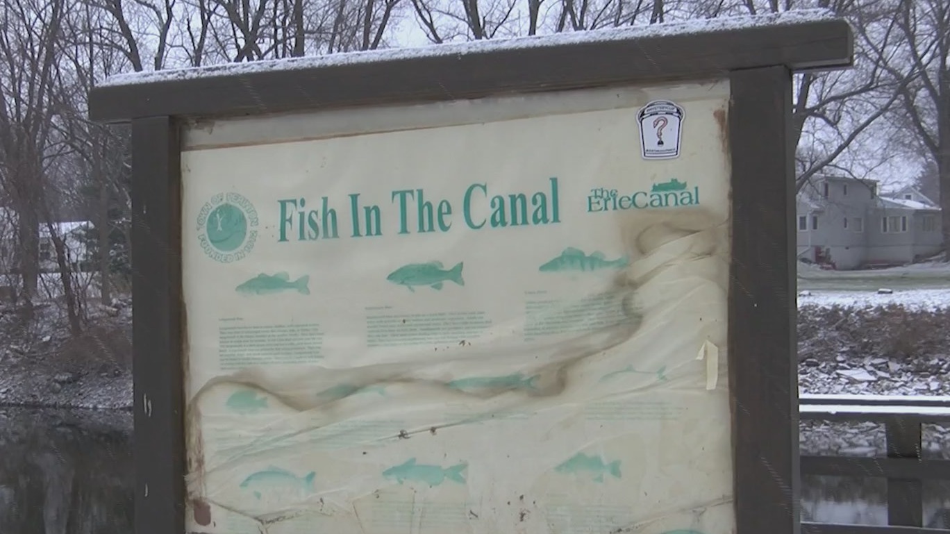 NYSDEC opens new conversations about invasive species in New York ...