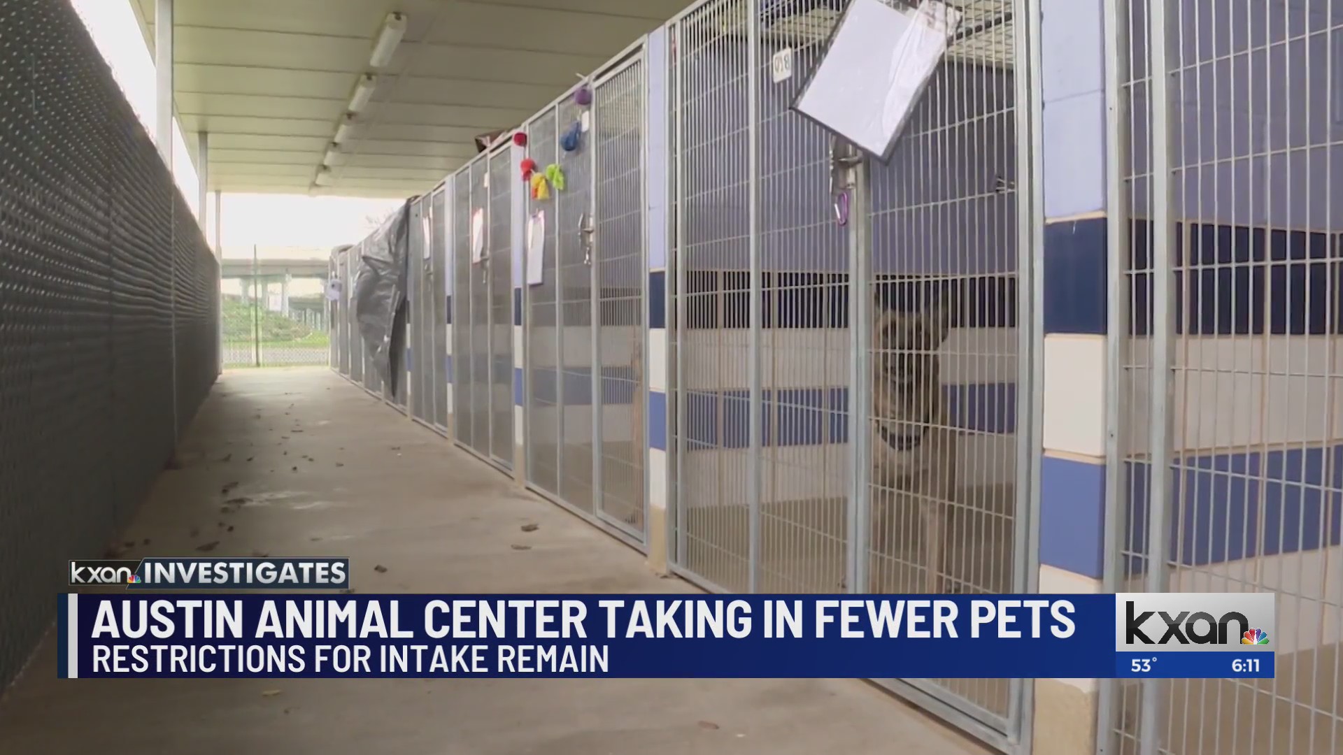 Austin’s animal shelter took in thousands fewer pets last year, so why ...