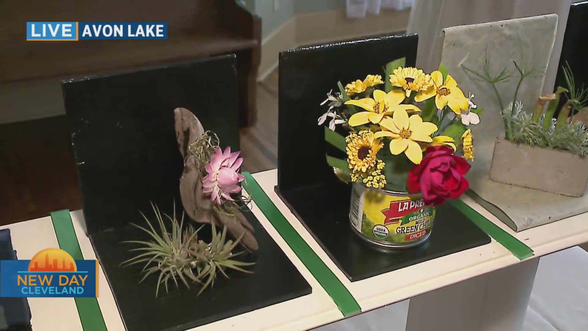 New Day Cleveland: Flower Show – Fox 8 Cleveland WJW