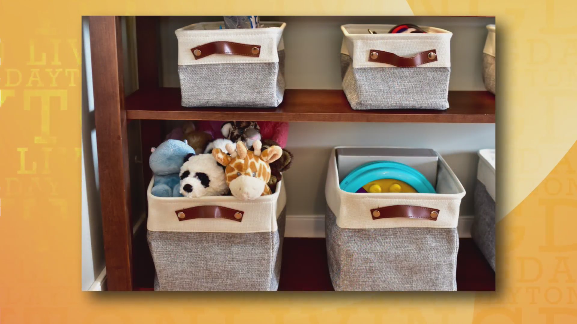 National Get Organized Month: BBB Tips for Hiring a Professional ...