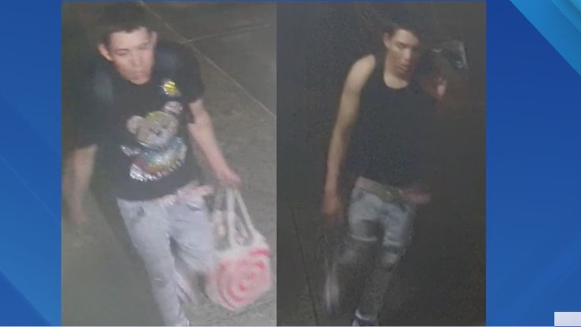 Man Sexually Assaulted Robbed Woman In Manhattan Nypd Pix11