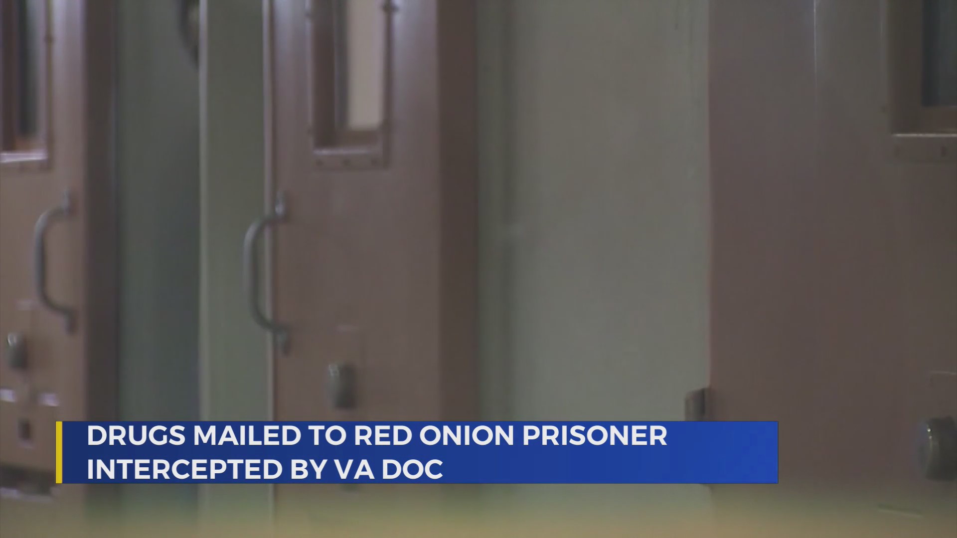 Drugs discovered in book mailed to Red Onion State Prison inmate, VADOC ...
