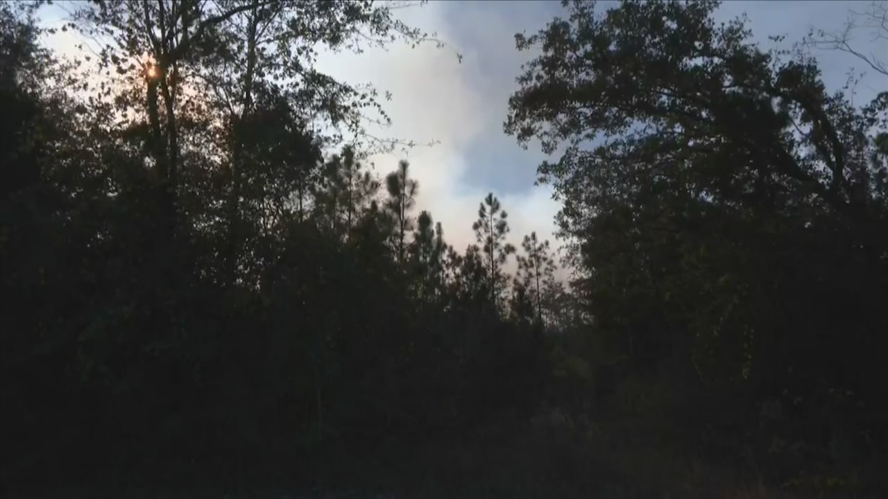 Wildfire in Calhoun County – mypanhandle.com