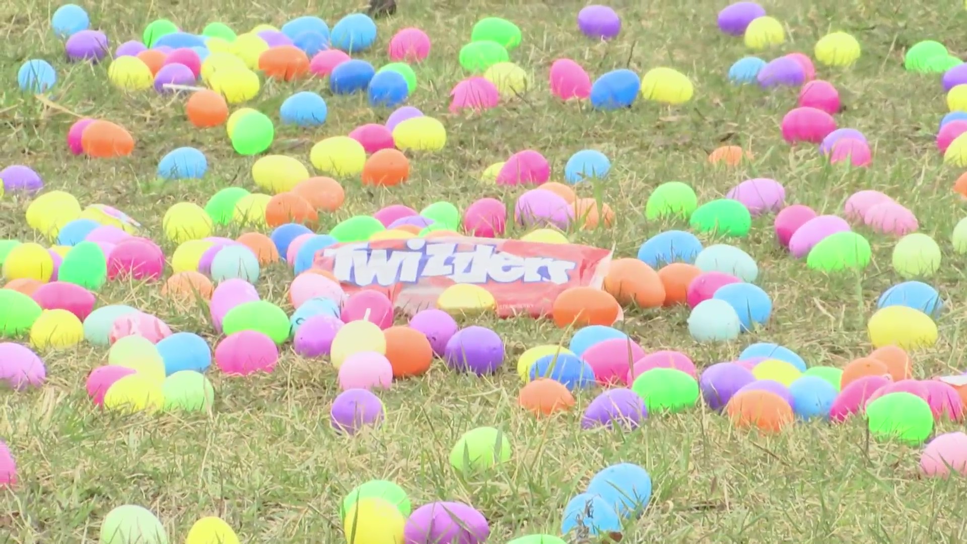 Local group holds egg hunt looking to reclaim the world record for ...