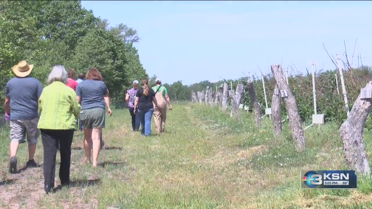 Kansas Farmers Union addressing food safety and security – KSN-TV