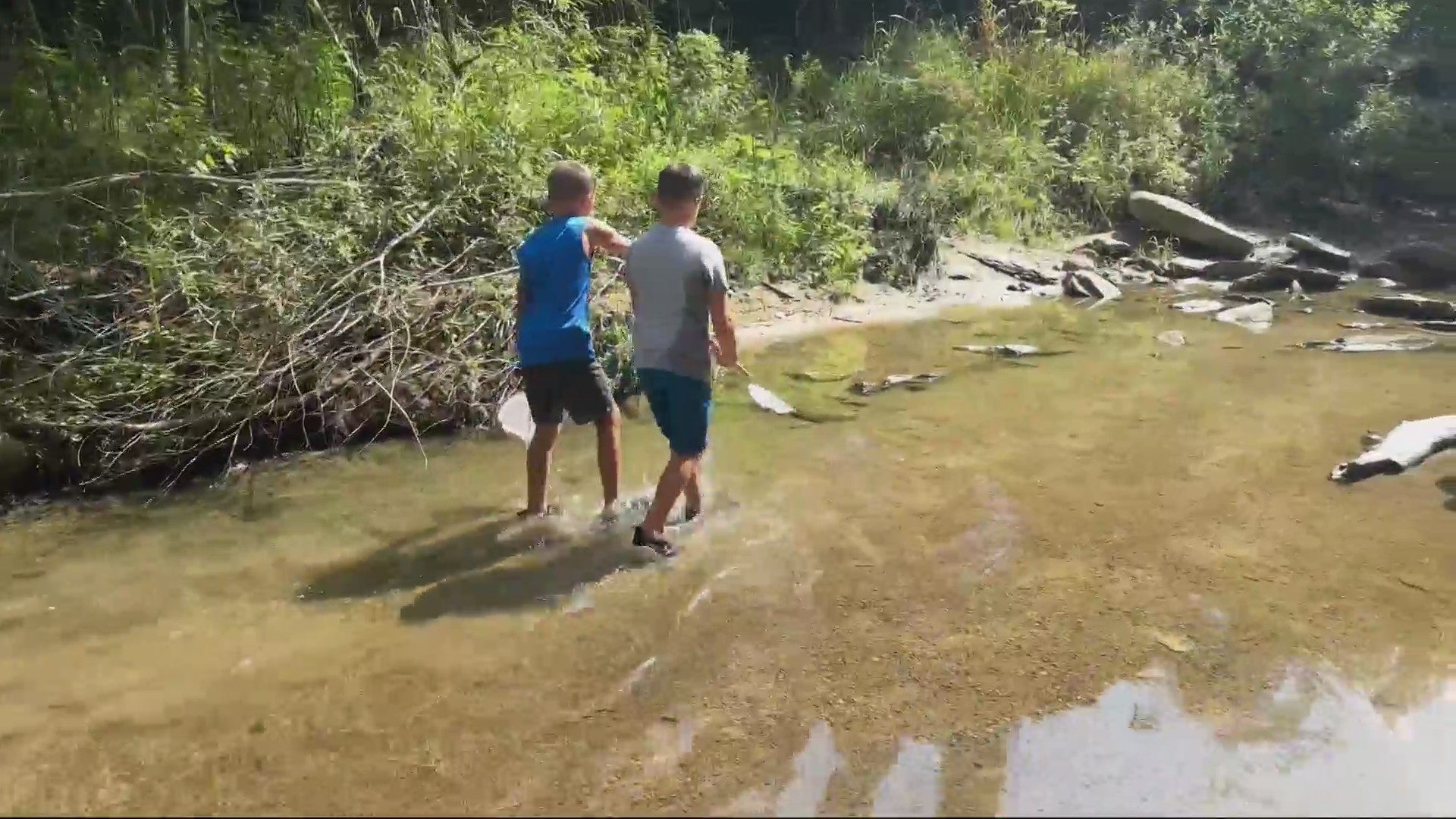 keeping cool at Ledges State Park – who13.com