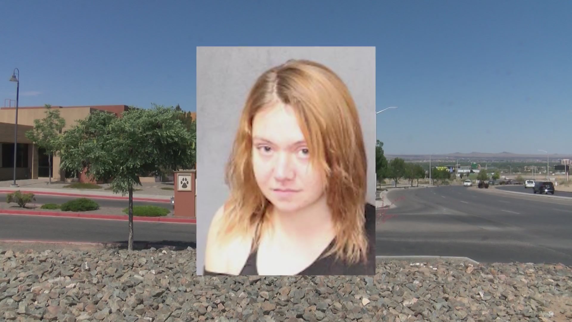 Albuquerque woman arrested for damaging property at the University of ...