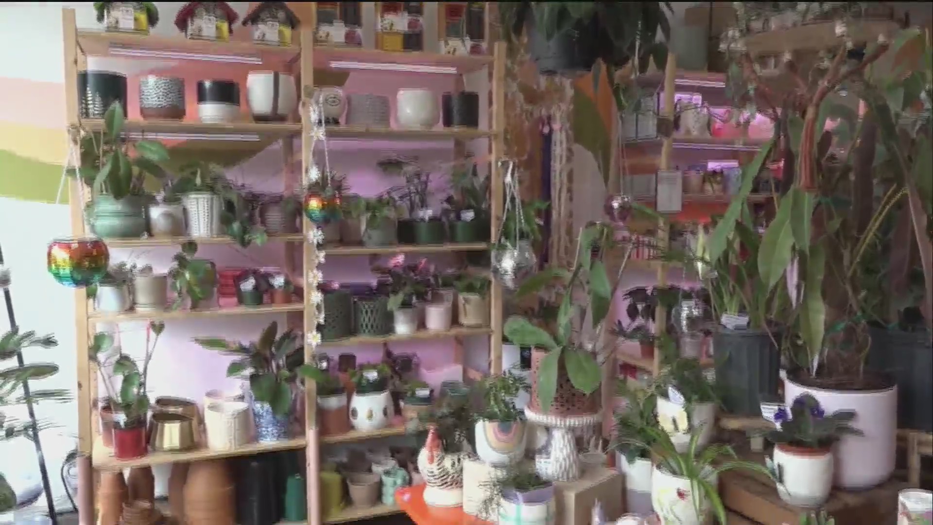 304 Today: Hoot and Howl Gift Shop in Morgantown – WBOY.com