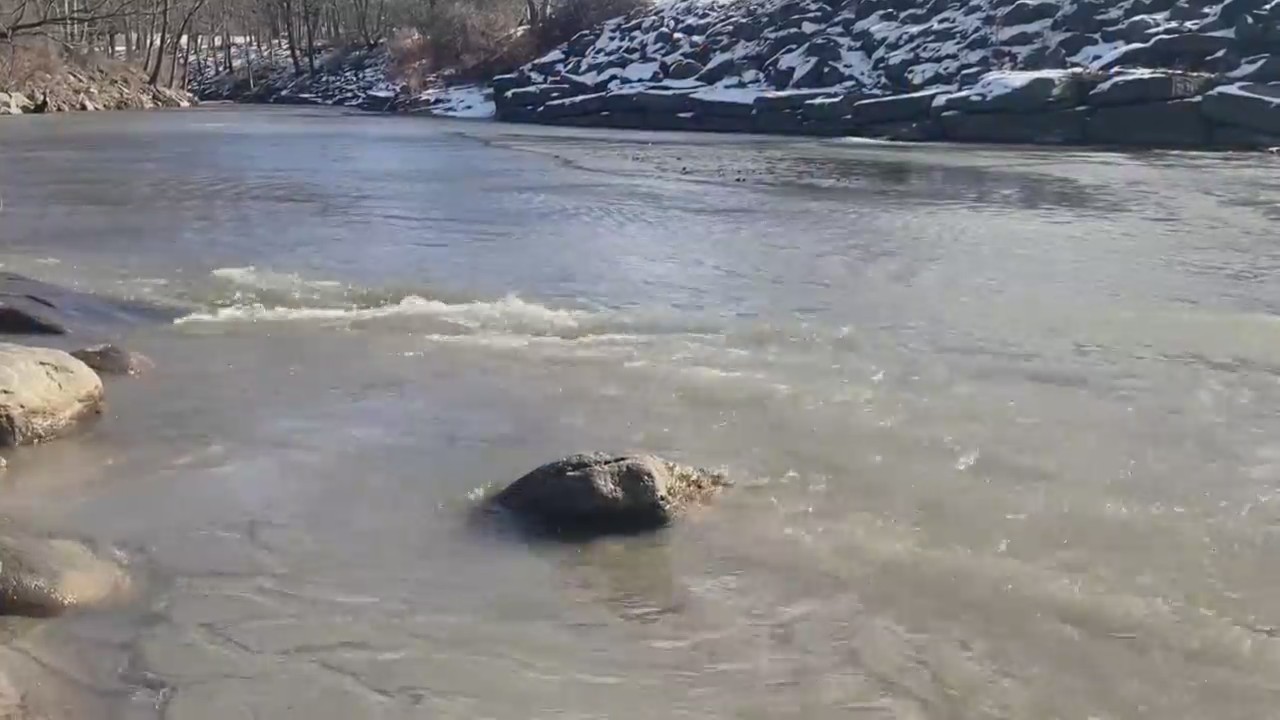 Trout stock canceled for Roaring Brook – PAhomepage.com