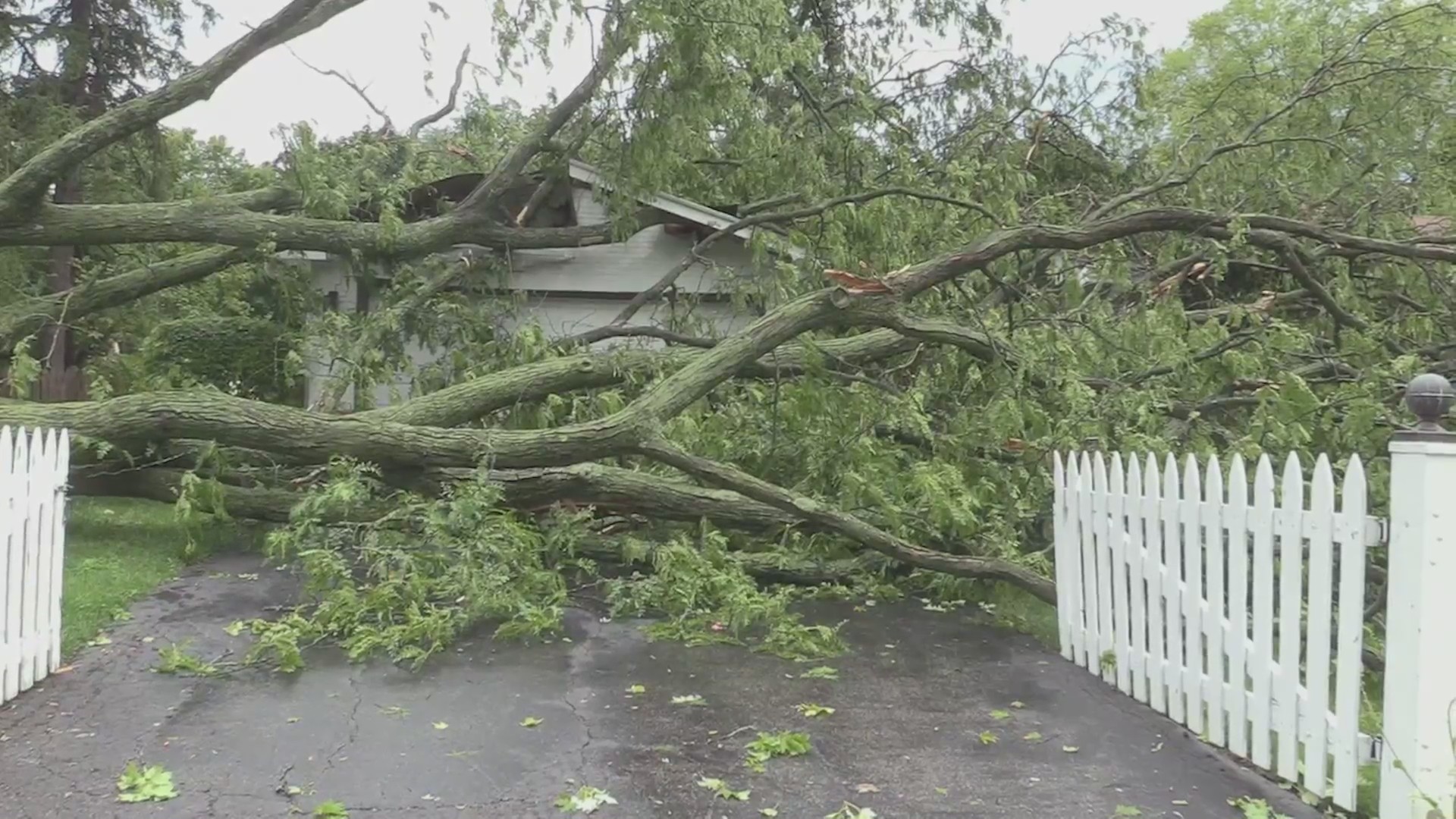 Severe weather leaves storm damage in Lake Bluff – WGN-TV