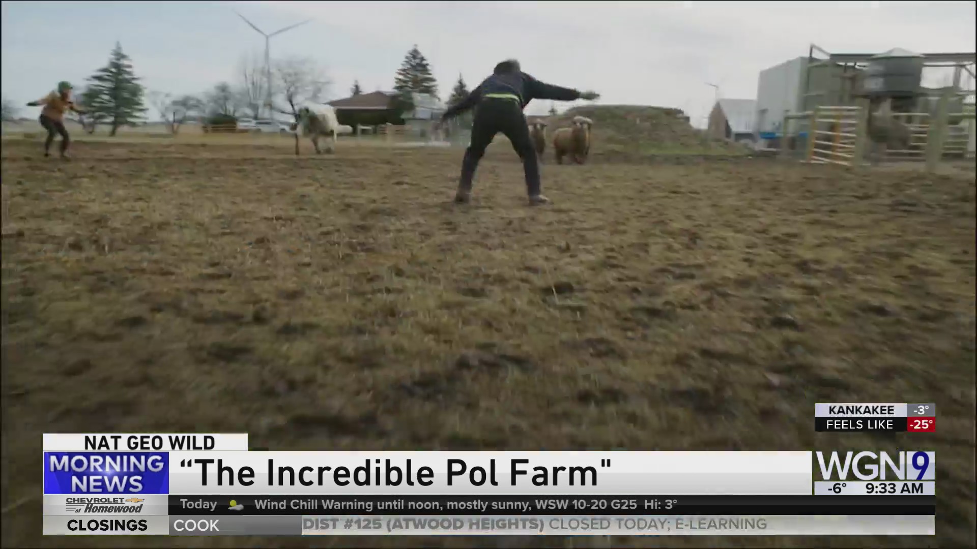 “The Incredible Pol Farm” – WGN-TV