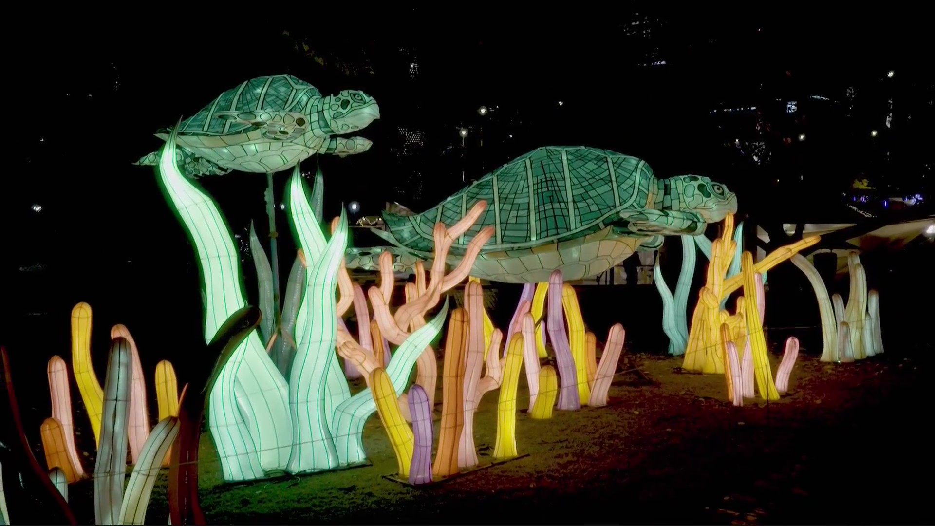 Blank Park Zoo Kicks off Wild Lights Festival – who13.com