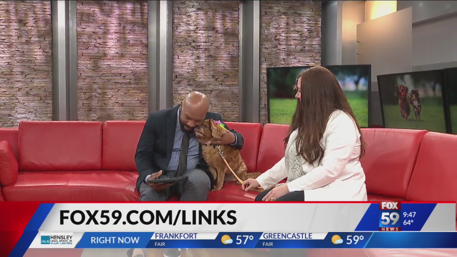 Beware of These Dog Park Dangers – Fox 59