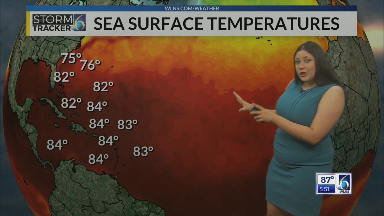 Weather Wednesday: Breaking Down Hurricane Season – WLNS 6 News