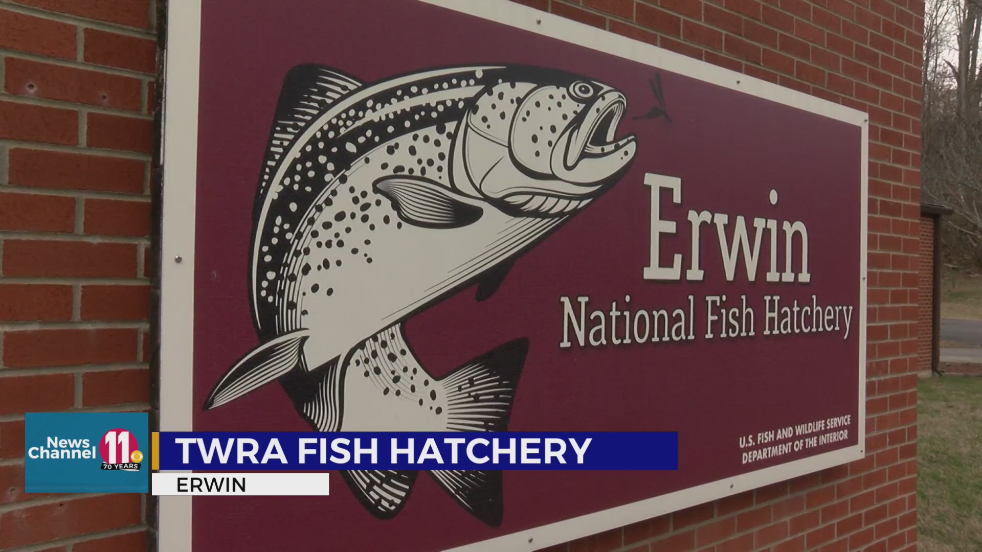 Erwin fish hatchery ships millions of trout to different states – WJHL ...