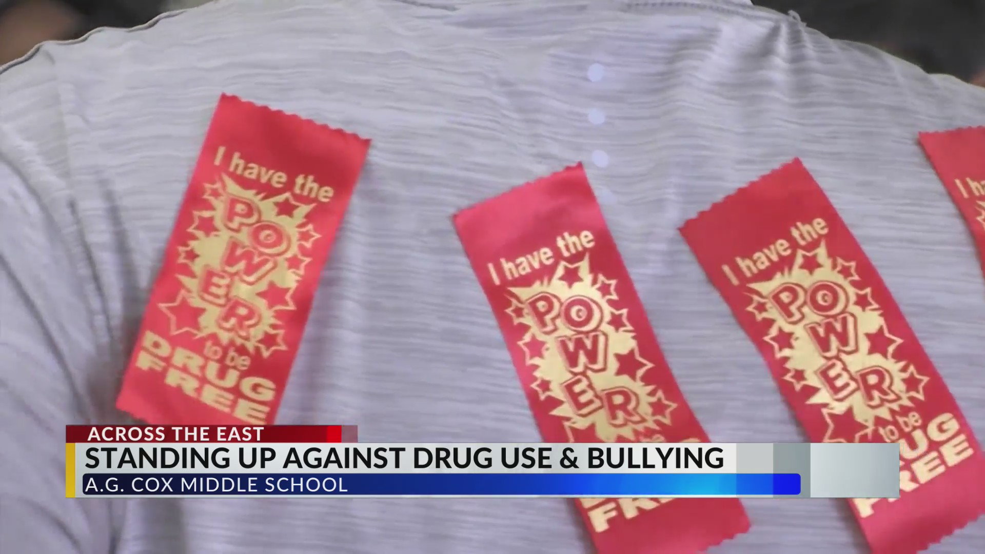Red Ribbon Week urges sanding up to drug use, bullying in schools – WNCT