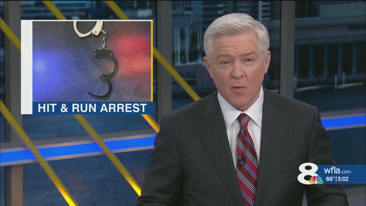 Tampa mailman killed in hit-and-run – WFLA