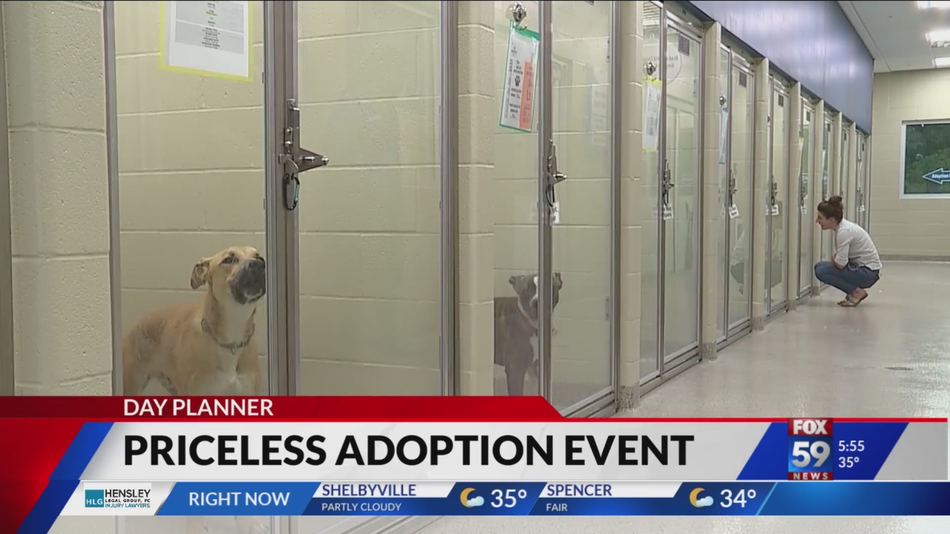 Hamilton County Humane Society offering $1 adoptions on Black Friday ...