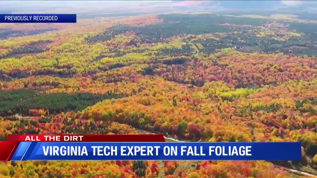 All the Dirt: Fall Foliage Facts – WFXRtv